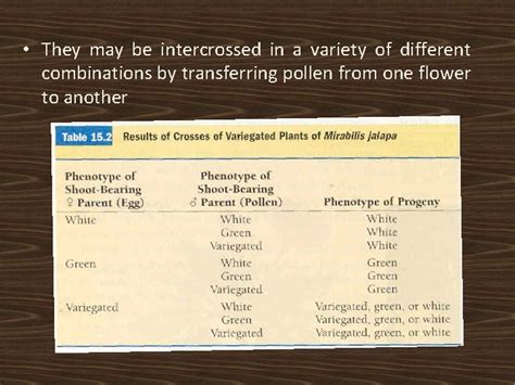 Extrachromosomal Inheritance Introduction Extra Nuclear Inheritance Is Defined