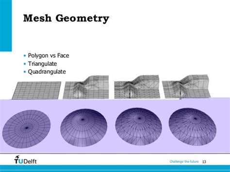 Polygon Mesh Representation