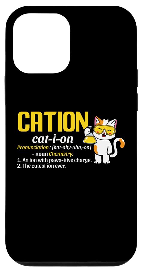 Cation Cat