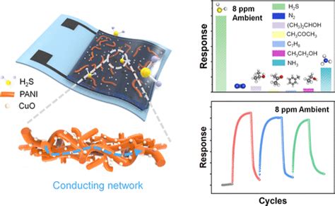 Polyanilinecuo Nanoparticle Composites For Use In Selective H2s Sensors Acs Applied Nano