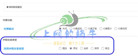 子比主题文章编辑页面添加文章列表页标题右上角的标签 上网的蜗牛