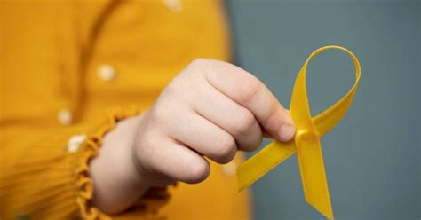 Virus Zika Podría Tratar Cáncer Neuroblastoma En Niños