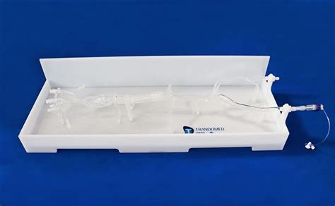 Aortic Arch Model V Manufacturers And Suppliers China Wholesale
