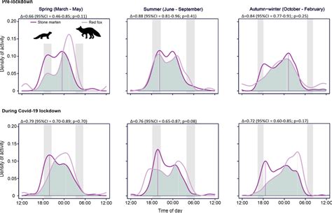 Comparison Between Daily Activity Patterns Of The Stone Marten Download Scientific Diagram