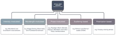 Optical Fiber Sensors And Sensing Networks Overview Of The Main Principles And Applications