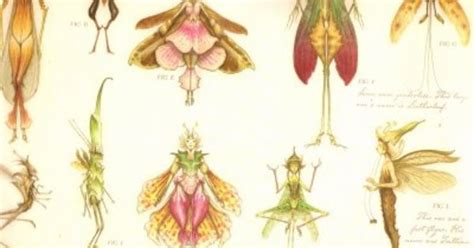 Spiderwick Fairies Real