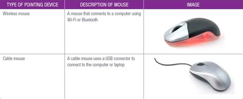 53 Output Devices Hardware Siyavula