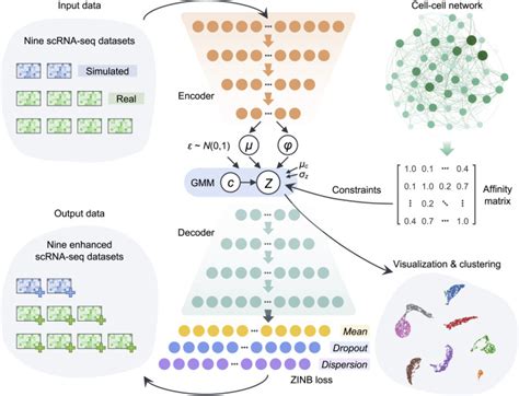 Graph Embedding And Gaussian Mixture Variational Autoencoder Network