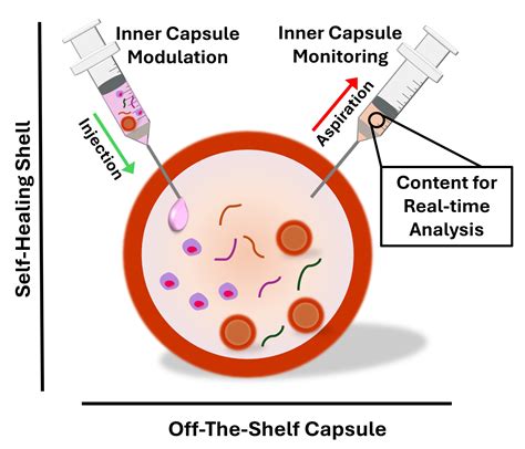 Supralife Supramolecular Multifunctional Biomaterials To Interface With Living Systems