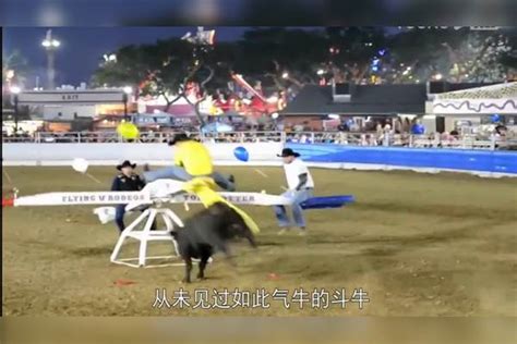 西班牙斗牛又出新花样，4位斗牛士坐跷跷板玩斗牛，老牛气的到处撞