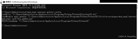 Django项目windows部署教程，详细踩坑总结windows系统部署django项目 Csdn博客