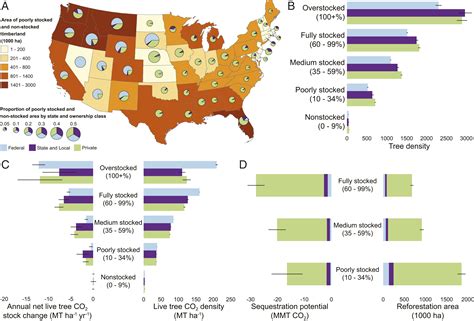 Tree Carbon Sequestration Rates By Species At Lola Epperson Blog
