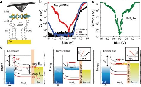 A Schematics Of The Heterostructure Measurement Monolayer And