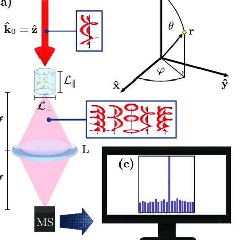 Schematic Of A Basic Experimental Setup Where A An Incident Beam