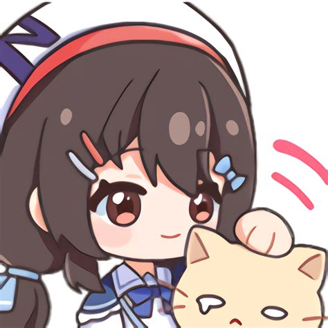 Shourei N