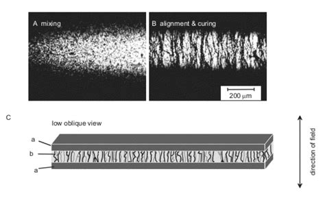 Anisotropic Conductive Polymer Material Eureka Patsnap