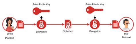 Public Key Cryptography And Gsm Flashcards Quizlet