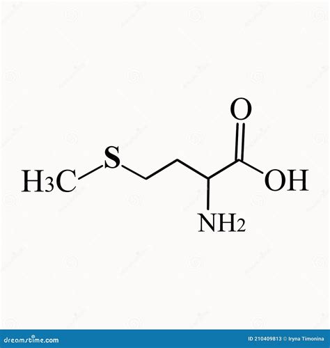 蛋氨酸是氨基酸 甲硫氨酸氨基酸的化学分子式 矢量图孤立插图 向量例证 插画 包括有 药房 原子 210409813