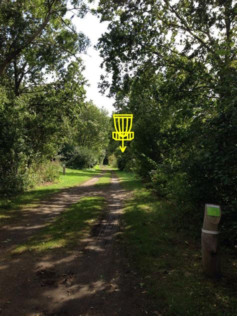 Billeder Fra Kokkedal Claeswuertz Dk Når Kurven Kalder Disc Golf