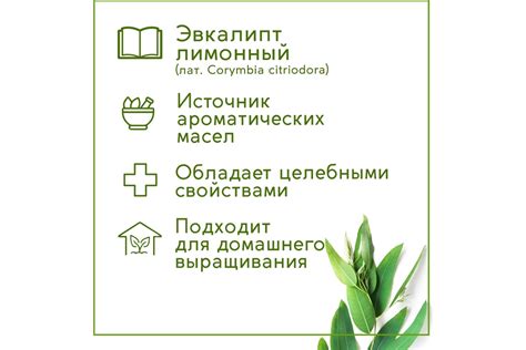 Набор для выращивания растений Тысяча Листьев эвкалипт лимонный tl-036 ...