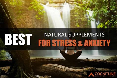 Best Natural Supplements For Reducing Stress And Anxiety Cognitune