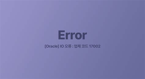Oracle 👾 Io 오류 업체 코드 17002