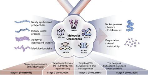 王磊尤启冬团队在signal Transduct Tar发表分子伴侣的生物学作用及其药物靶向策略研究进展总结
