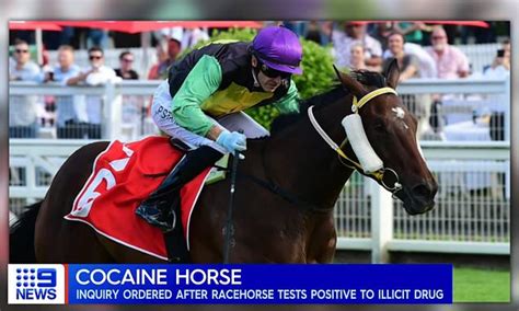 Daniel Piotrowski All Their Latest Coverage Daily Mail Online