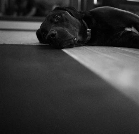 3 Jan Siegert Flickr