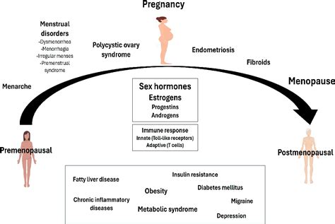 Figure 1 From The Particularities Of Arterial Hypertension In Female