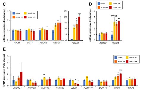 Hfhcd Altered The Gene Expression Of Cholesterol Metabolism Hepatic