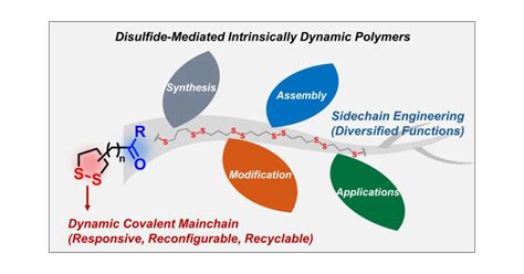 Disulfide Mediated Reversible Polymerization Toward Intrinsically