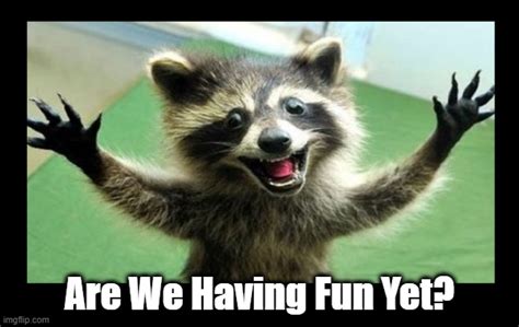 Are We Having Fun Yet Memes And S Imgflip