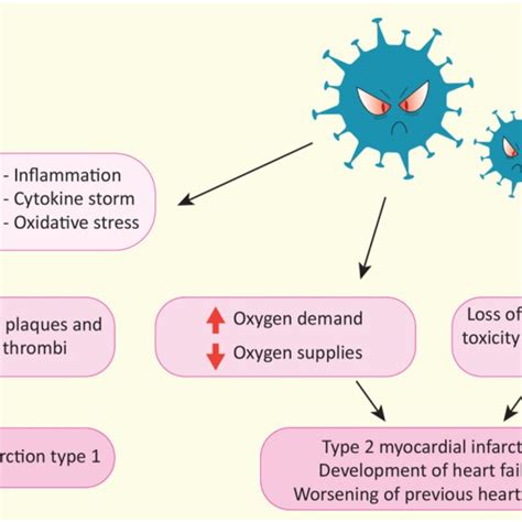 Myocardial Infarction As A Consequence Of Sars Cov 2 Infection