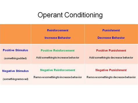 Operant Conditioning Examples In Everyday Life