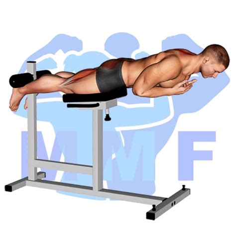 Tuck Crunch Your Essential How To Tutorial For This Ab Exercise