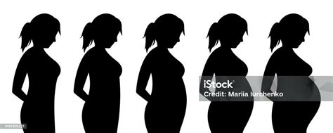 임신의 주요 단계 몇 달 동안의 태아 성장 임신 달력 행복한 임신과 기다림 과정 어머니 플랫 스타일의 벡터 그림입니다 임신 중 건강 관리 가족에 대한 스톡 벡터 아트 및