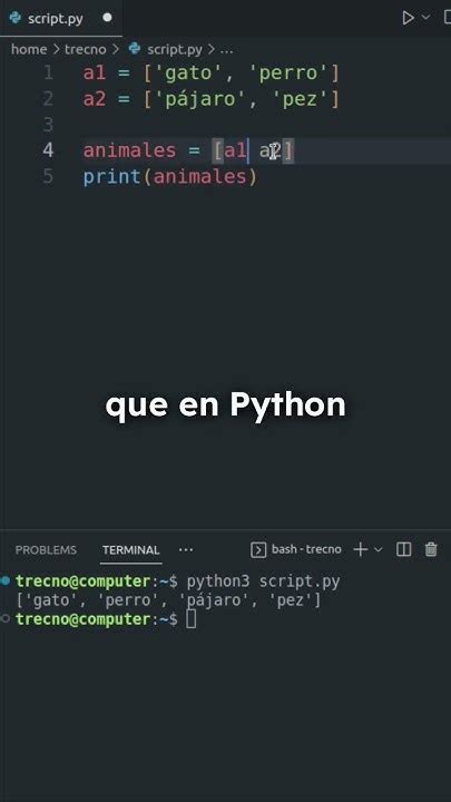 Cómo Combinar Listas En Python 🗒️ Python Programacion Listas