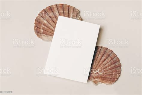 현대 여름 문구는 여전히 생활 빈 수직 인사말 카드 분홍색 굴 바다 조개와 함께 장면을 초대합니다 베이지 색 테이블 배경 플랫