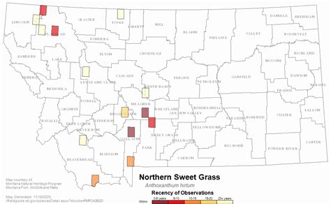 Northern Sweet Grass Montana Field Guide