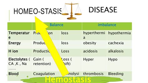 Acid Base Abg From Theory To Therapy Pptx
