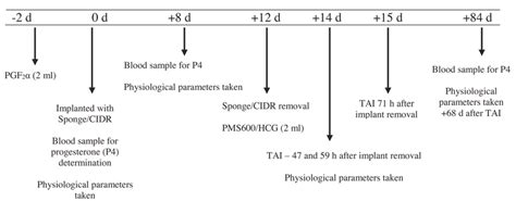 Fixed Time Trans Cervical Artificial Insemination Tai Protocol By Day Download Scientific
