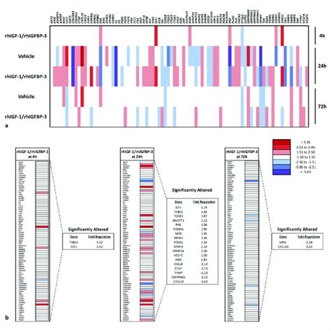 Angiogenesis Array The Expression Of 84 Genes Related To Angiogenesis
