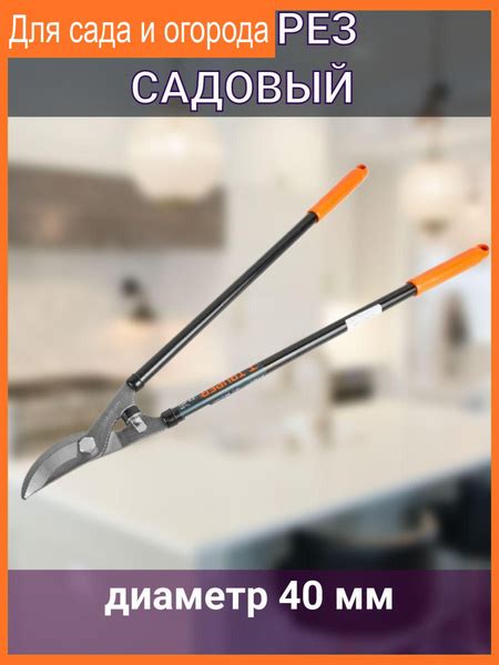 Сучкорез TRUPER Секатор/сучкорез/садовый/профессиональный/средний ...