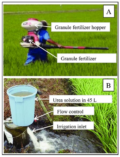 Equipment Used In Two Types Of Fertilizing Methods Granules Of Urea