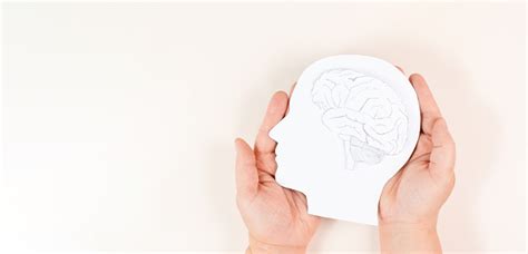 손에 뇌가있는 머리를 들고 파킨슨 병 알츠하이머 병 정신 장애 치매 심리학 문제 뇌정맥 혈전증 기민에 대한 스톡 사진 및 기타 이미지 Istock