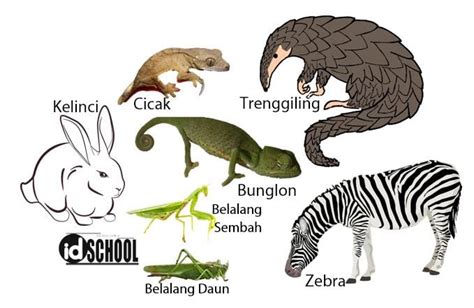Ciri Ciri Khas Haiwan Melindungi Diri Daripada Musuh Dan Contoh Gambar