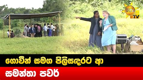 ගොවීන් සමග පිලිසඳරට ආ සමන්තා පවර් Hiru News Youtube