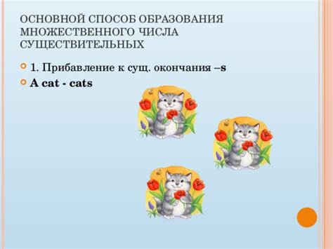 Множественное число имен существительных УМК М З Биболетовой 4 класс английский язык
