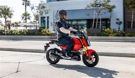 Grom Small Street Motorcycle Honda